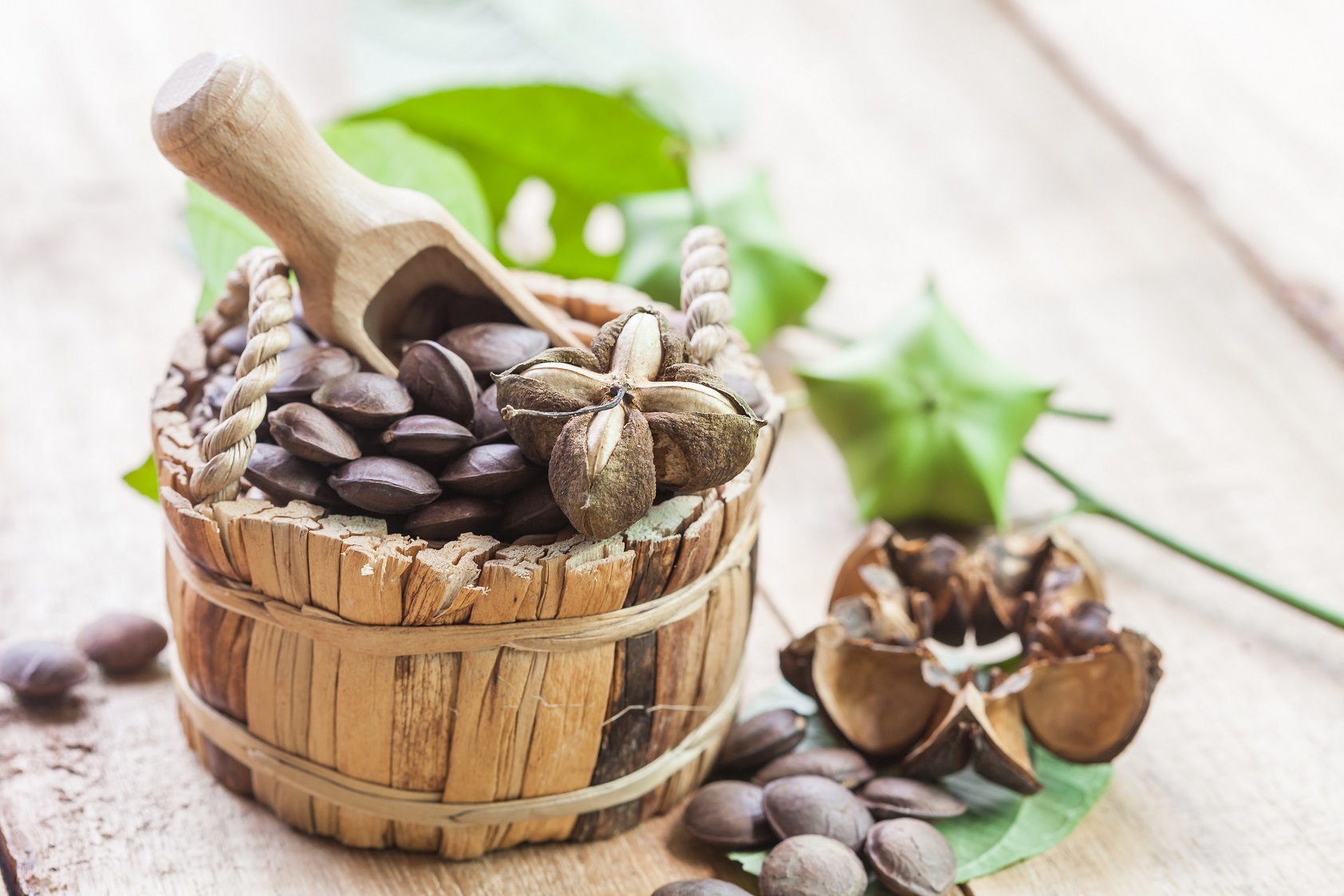 Superfood Extraordinaire – Organic Sacha Inchi Seeds – The Jedwards Blog